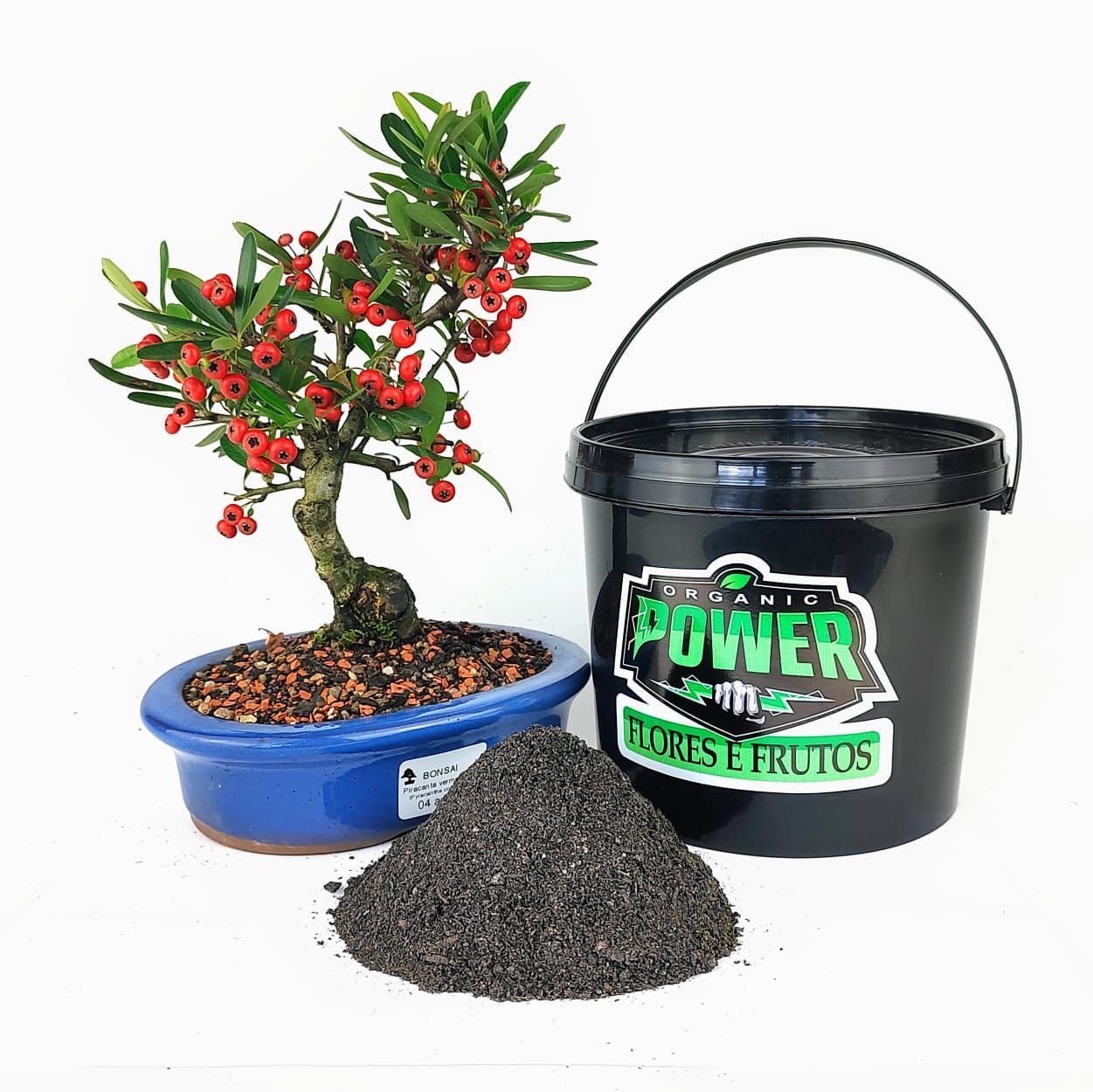 Adubo Organic Power Flores E Frutos 1kg